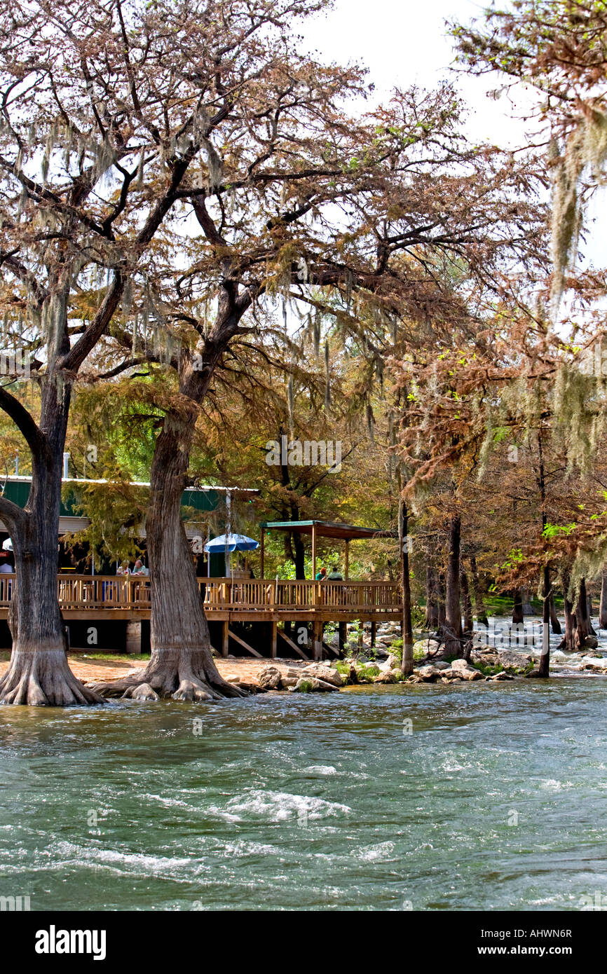 River restaurant cypress trees and Spanish Moss with restaurant on ...