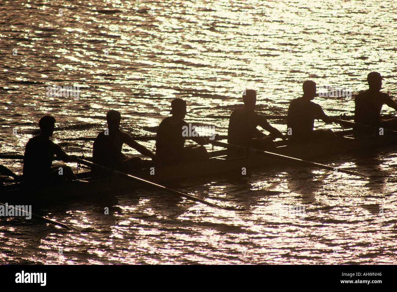 Crew team in water Stock Photo - Alamy