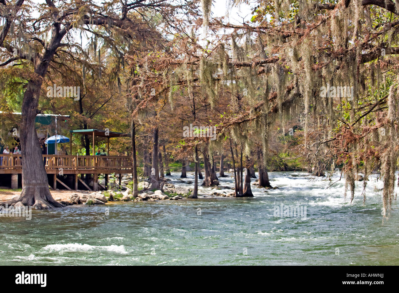 River restaurant rapids cypress trees and spanish moss south Texas ...