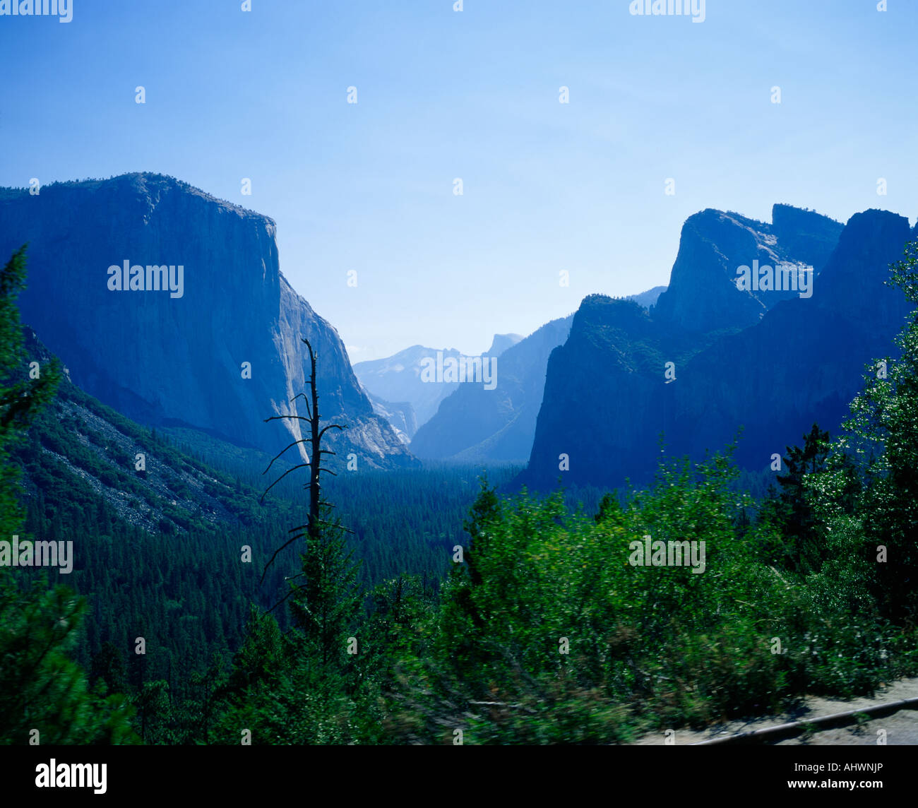 A mountain valley with trees in the foreground Stock Photo - Alamy