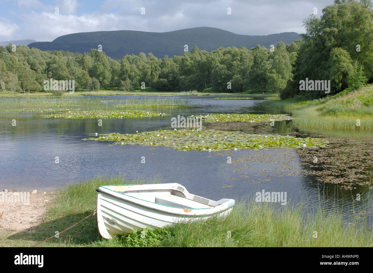 Rothiemurchus Estate Mountain Biking High Resolution Stock Photography ...