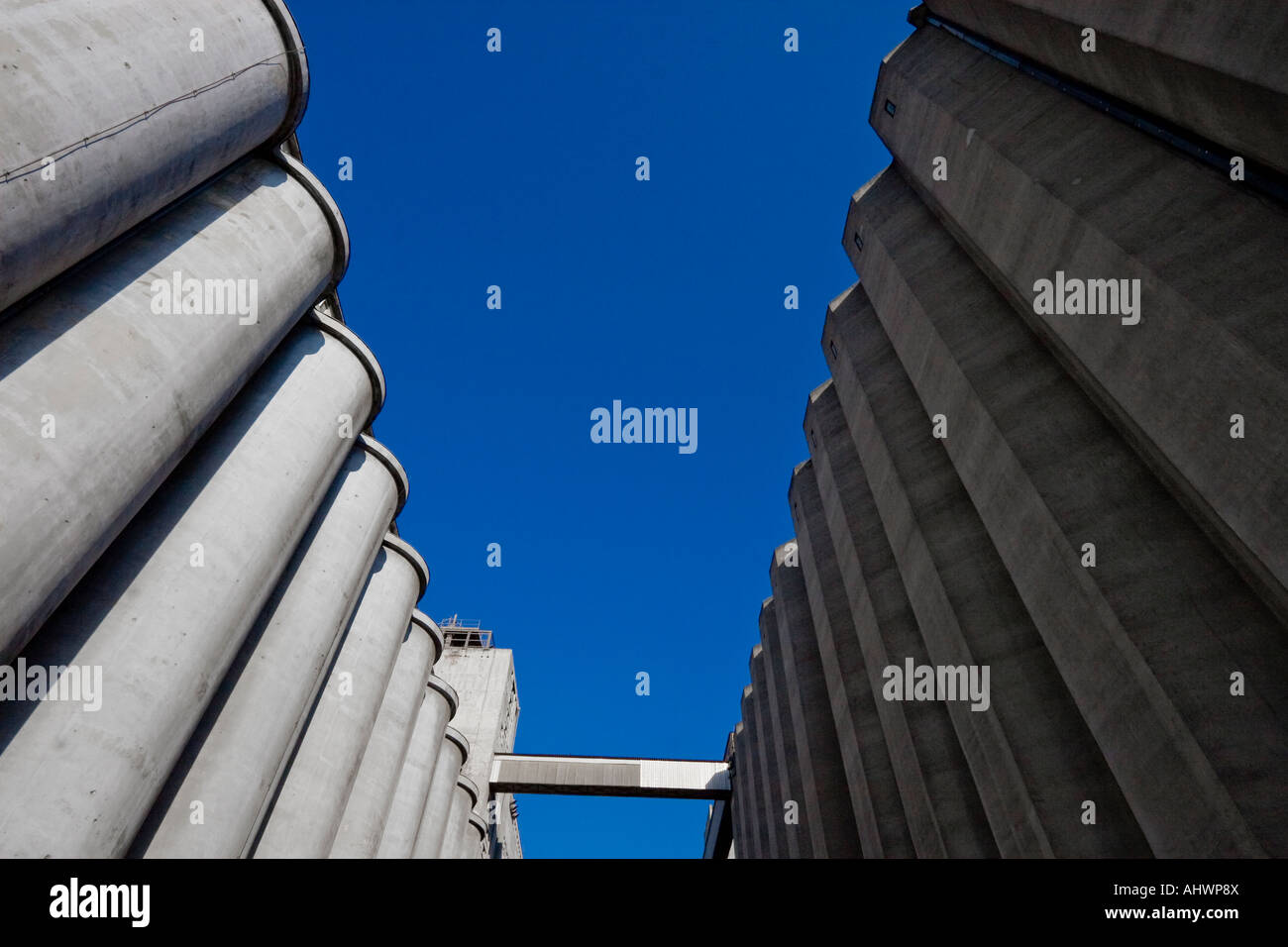Concrete silos for crop storage in agriculture Stock Photo - Alamy
