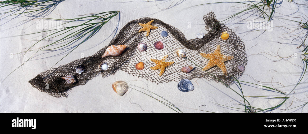 Shells and old fishing net in the sand on the beach Stock Photo - Alamy