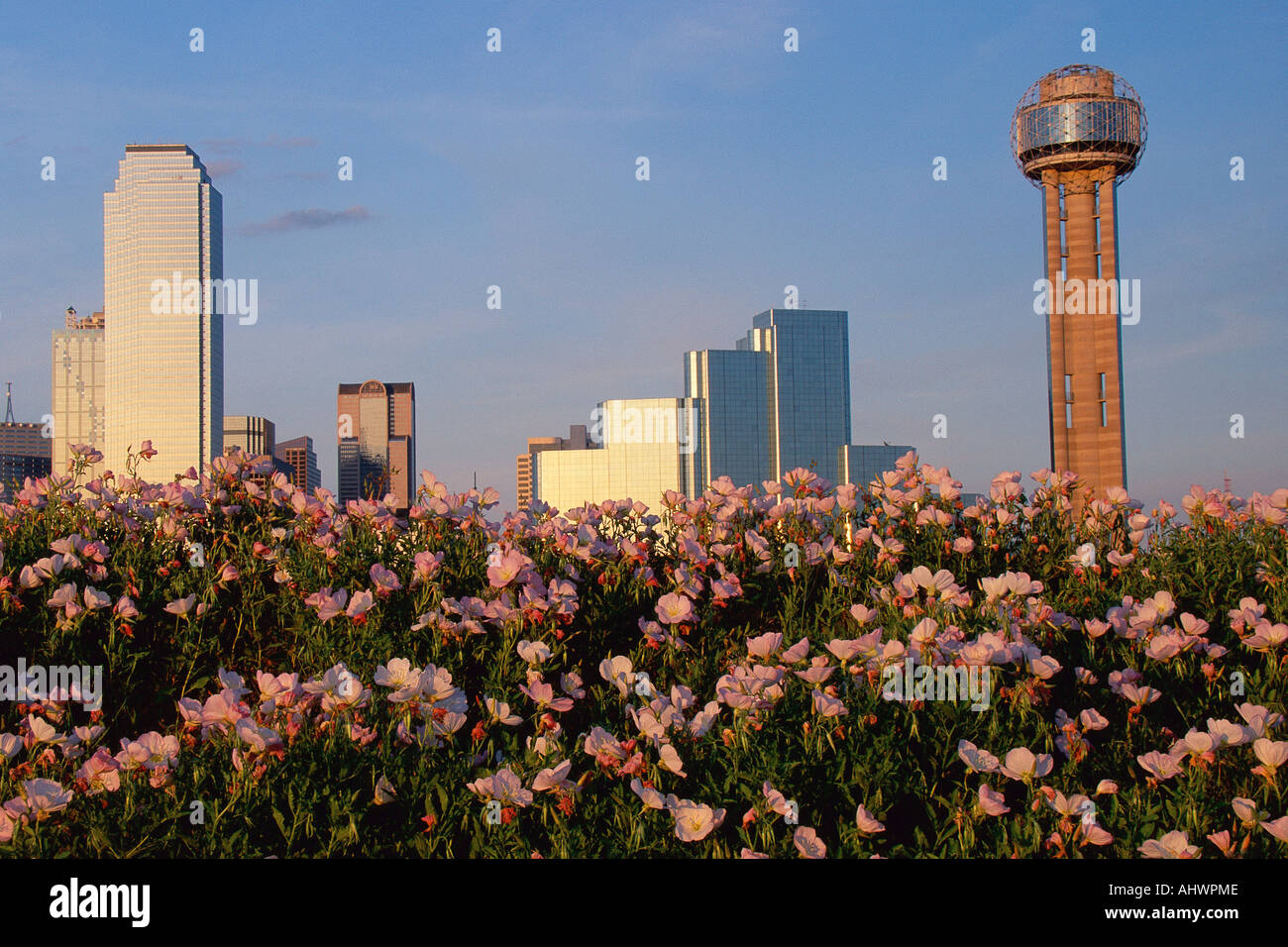 Scenic Dallas skyline with Reunion Tower Stock Photo - Alamy