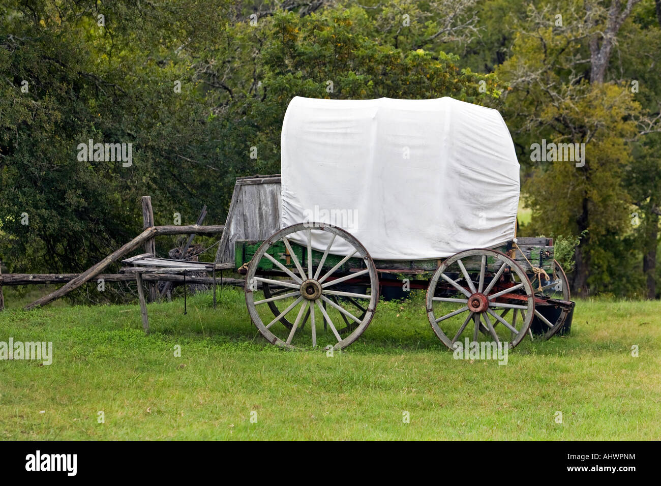 Wagon covered chuckwagon on ranch in field near a forest in south Texas ...