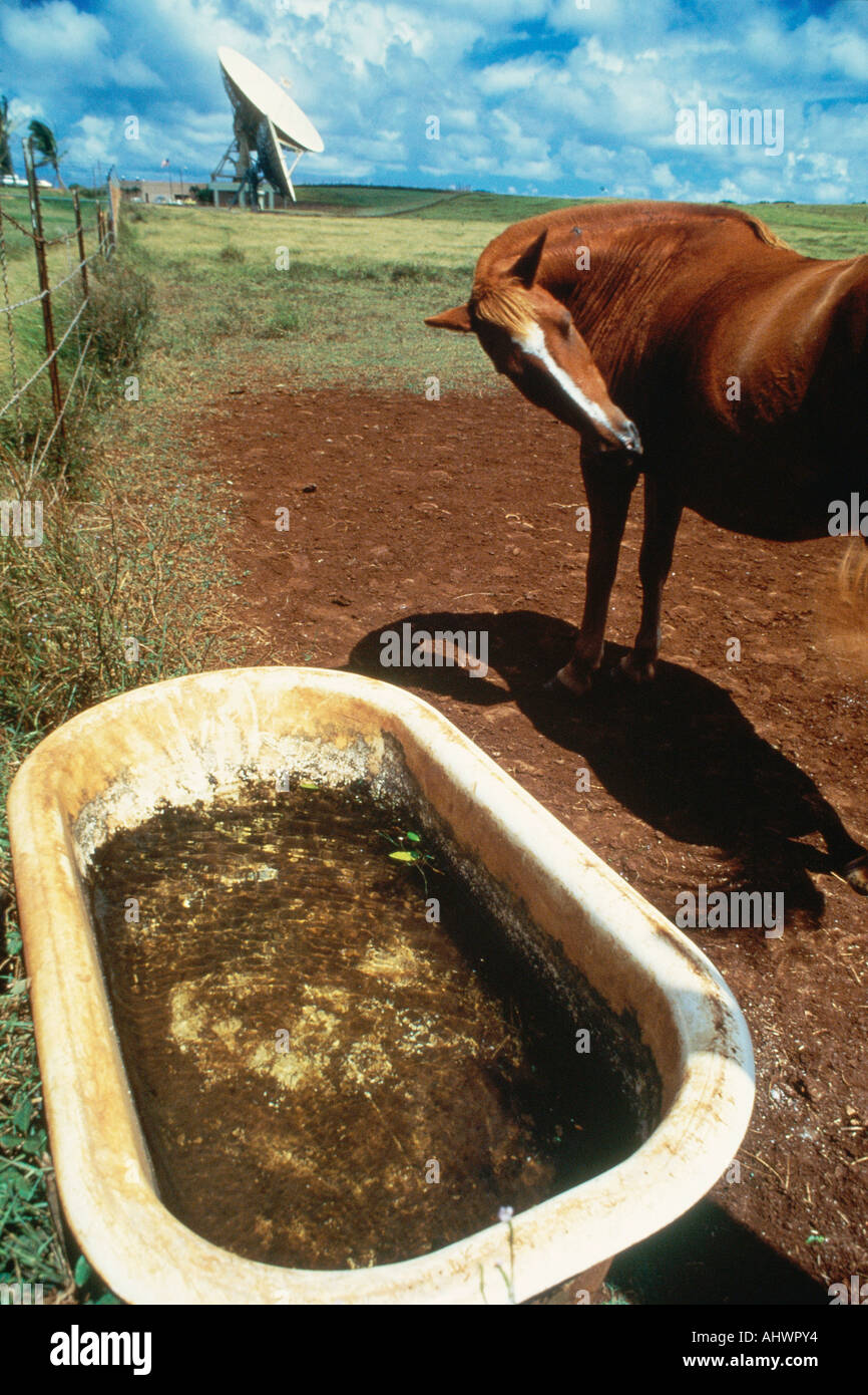 Communications with horse hi-res stock photography and images - Alamy