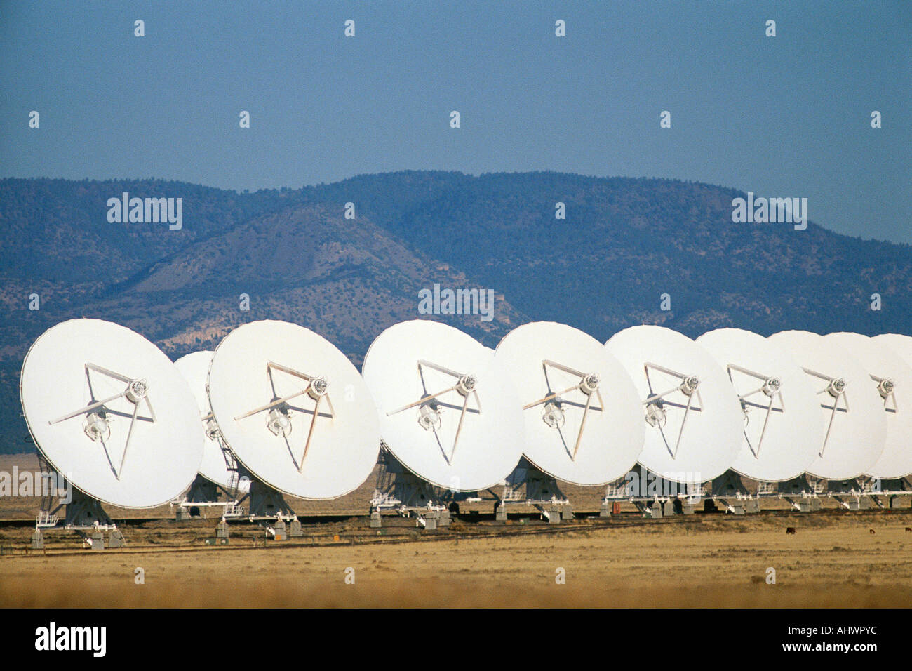 Line array hi-res stock photography and images - Alamy