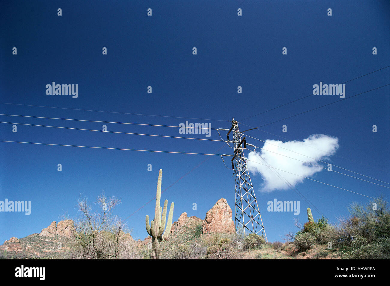 Mexico power lines cactus hi-res stock photography and images - Alamy