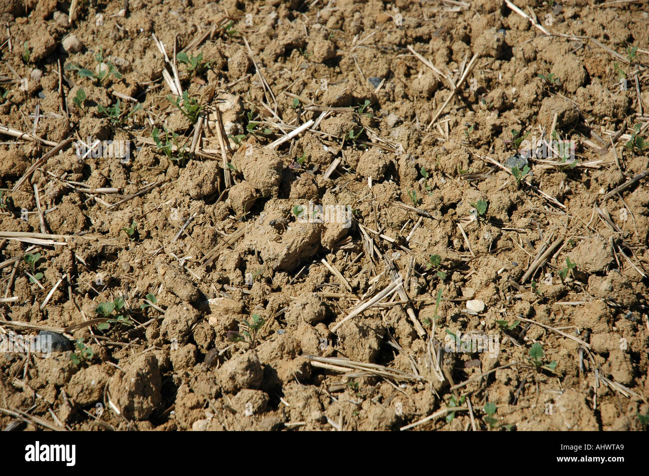Erdboden ground hi-res stock photography and images - Alamy