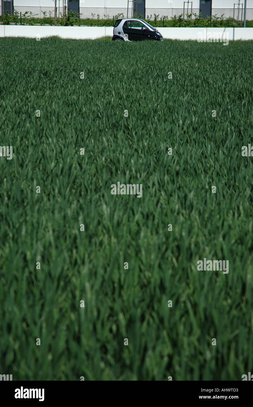 Cool twoseater SMART ForTwo car parked in a grain field in front of a ...