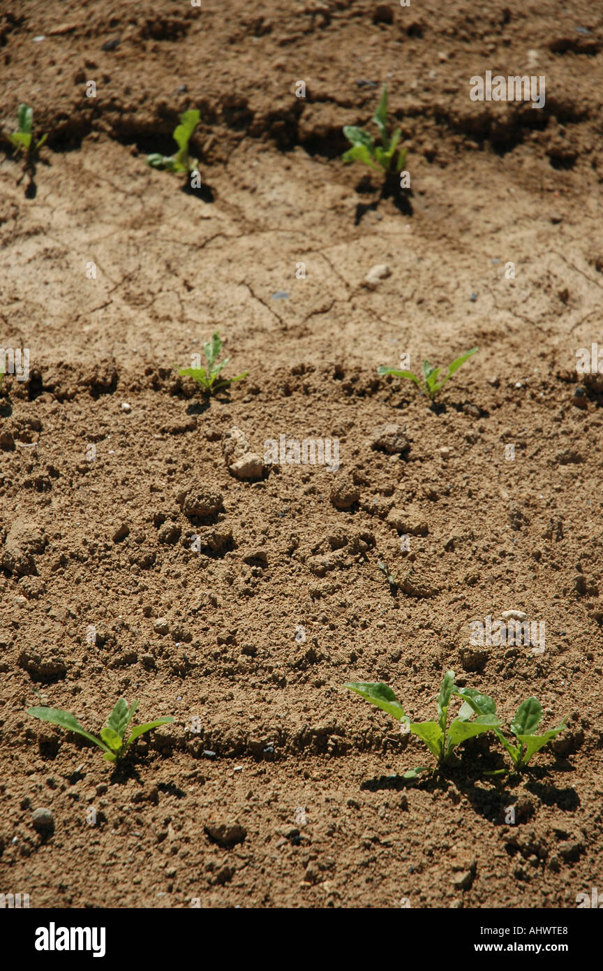 Reifenspur hi-res stock photography and images - Alamy