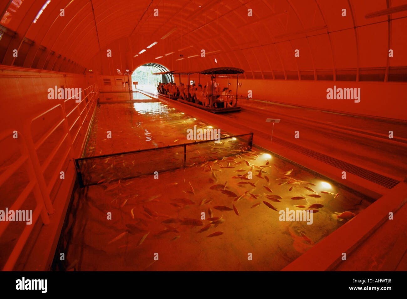 Experimental fish farm hi-res stock photography and images - Alamy