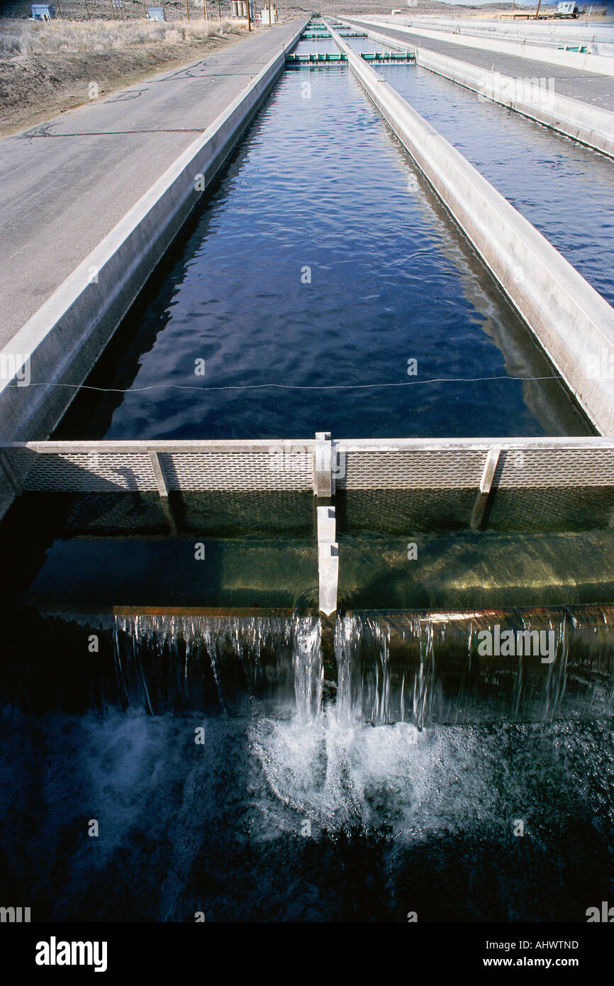 Replenishing tank at fish hatchery Stock Photo - Alamy
