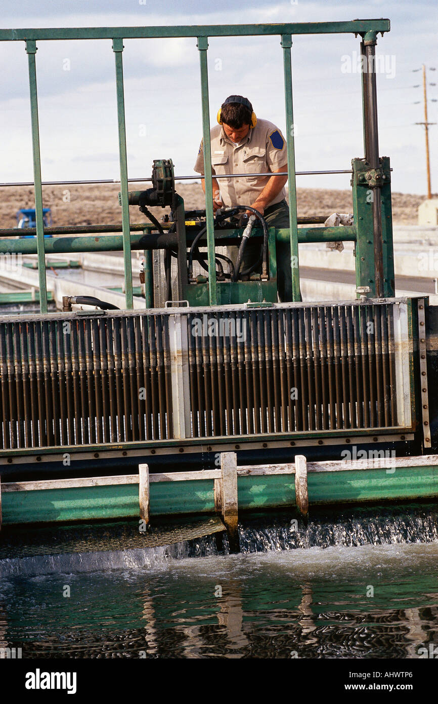 Fish hatchery california hi-res stock photography and images - Alamy