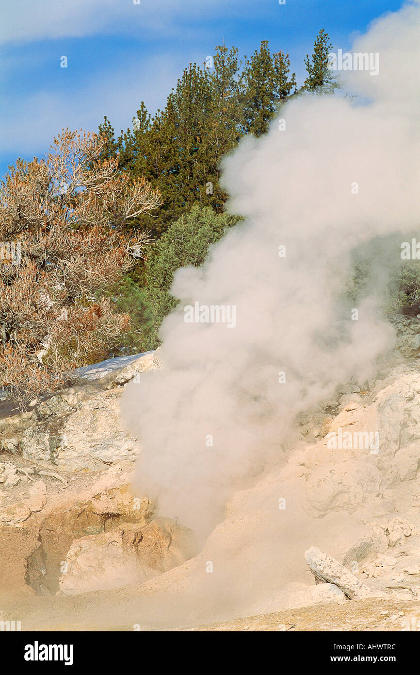 Steam plume emerging from ground Stock Photo - Alamy