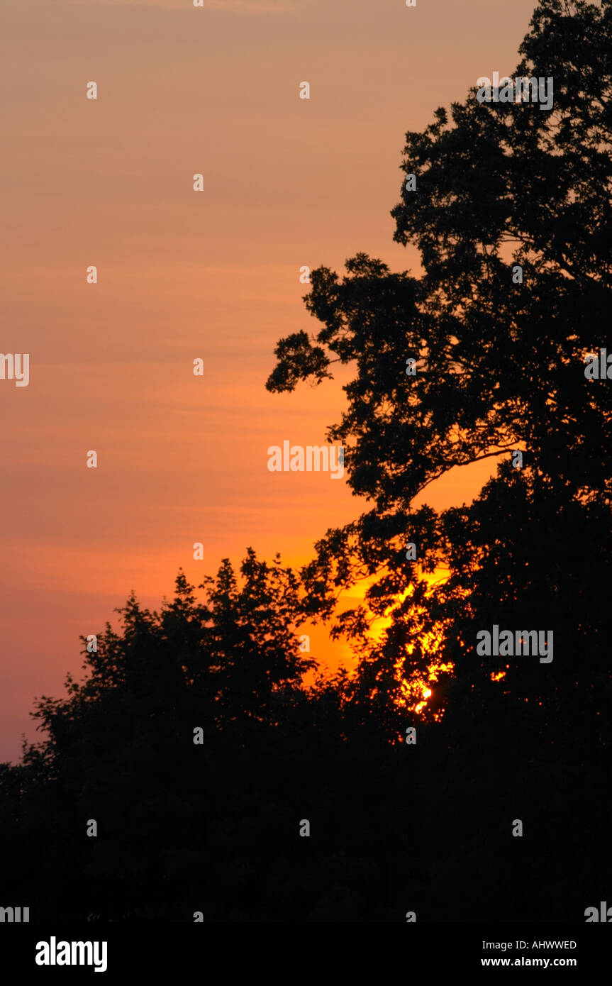 Sunset at Poets Walk Romantic Landscape Park in the Hudson Valley at ...
