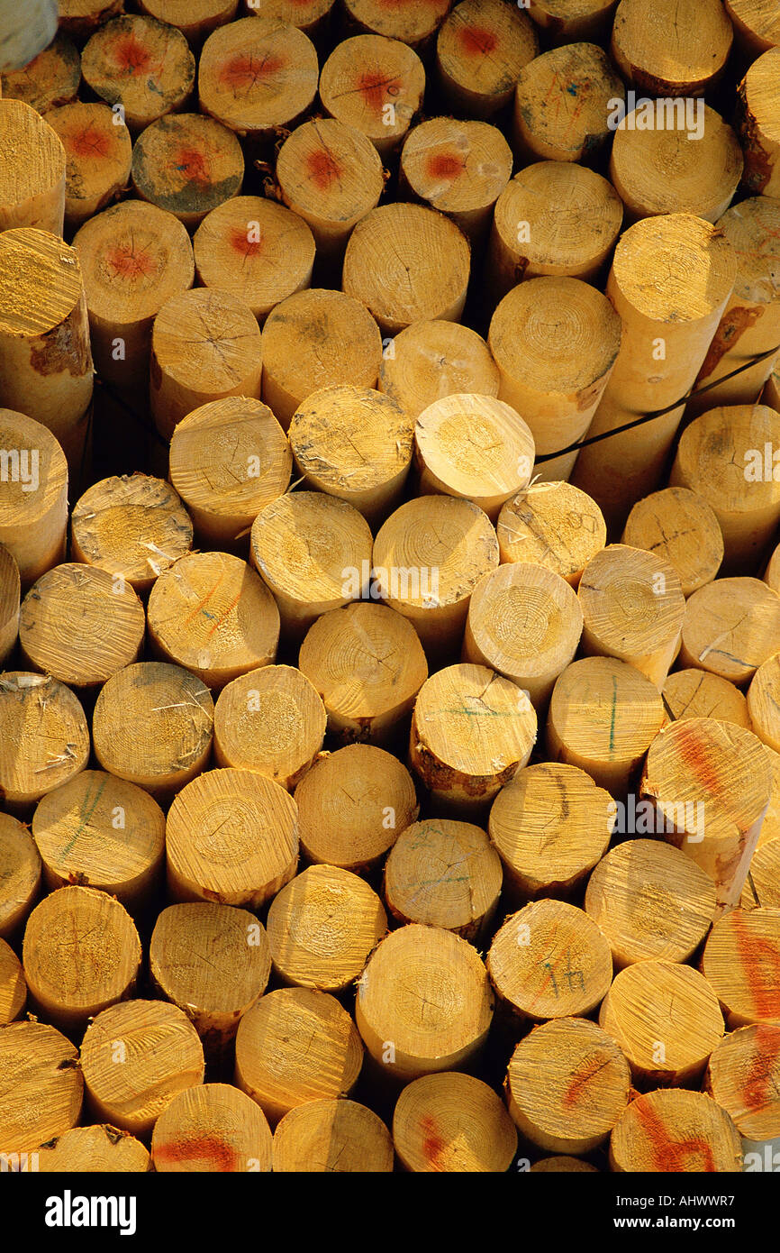 Stack of prepared timber Stock Photo - Alamy