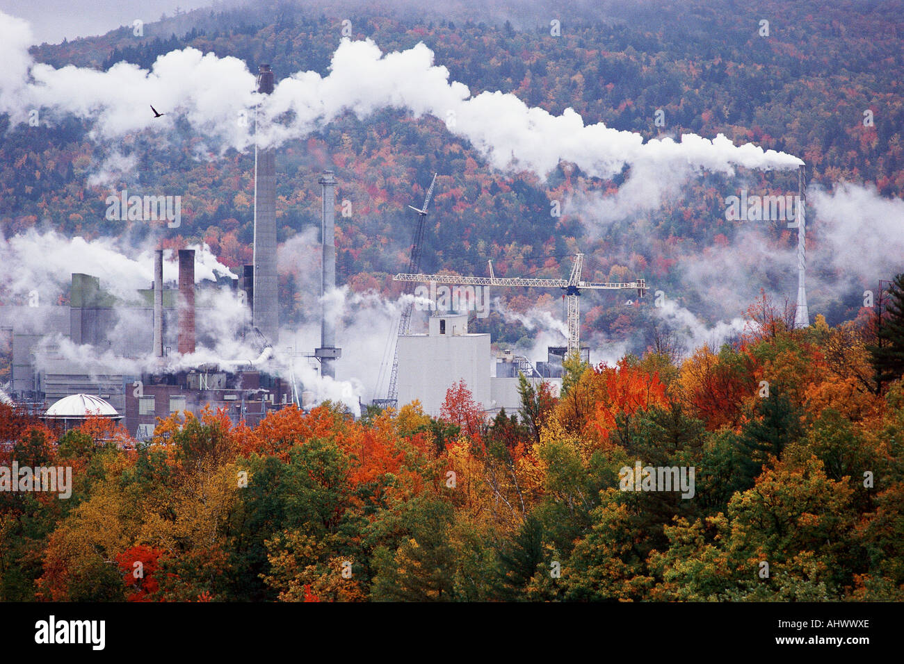 Papermill manufacturing hi-res stock photography and images - Alamy
