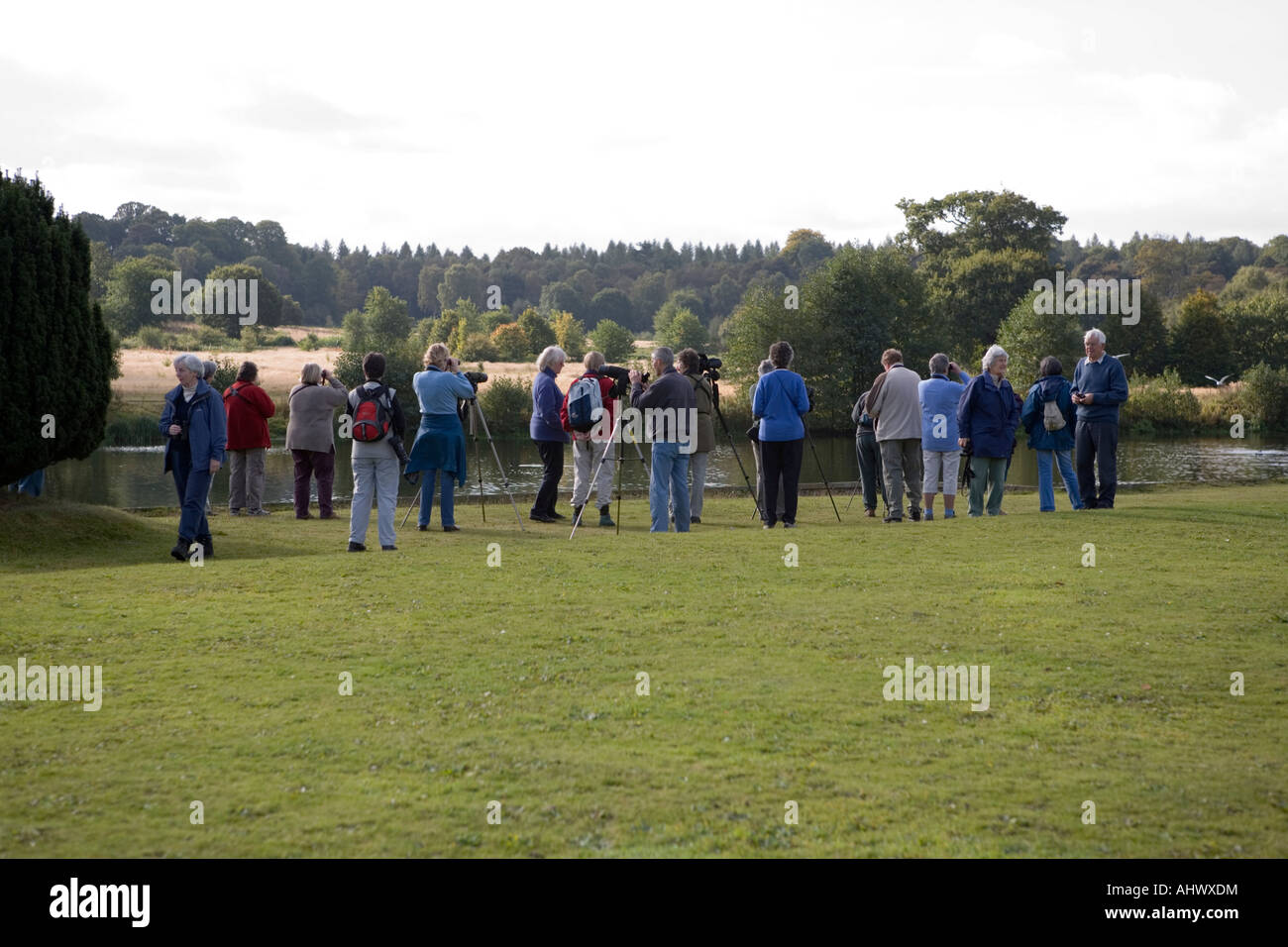 Group of people birdwatching Stock Photo - Alamy