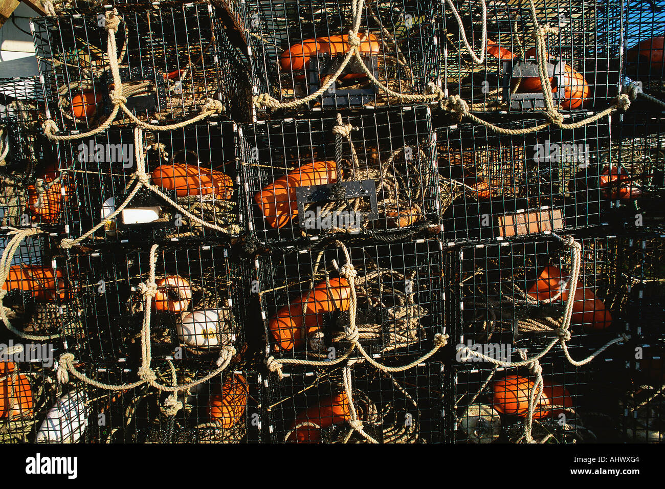 Detail of lobster traps Stock Photo - Alamy