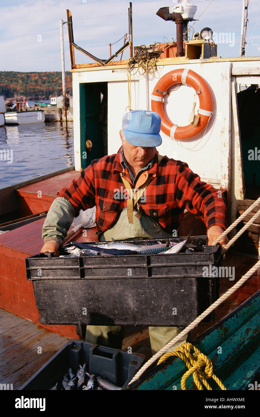 Fish carrying fish hi-res stock photography and images - Alamy