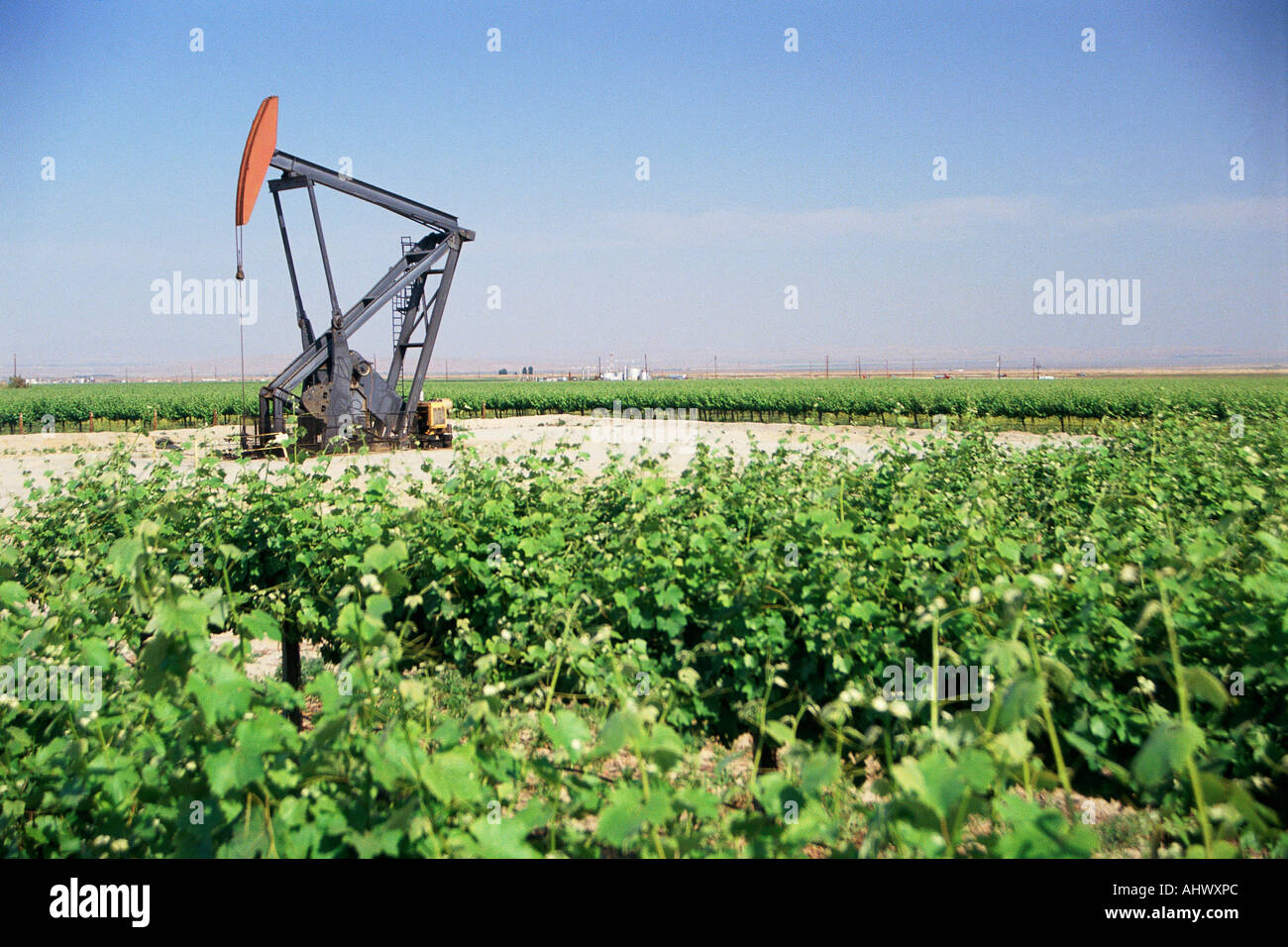 Pump jack oil well in field Stock Photo - Alamy