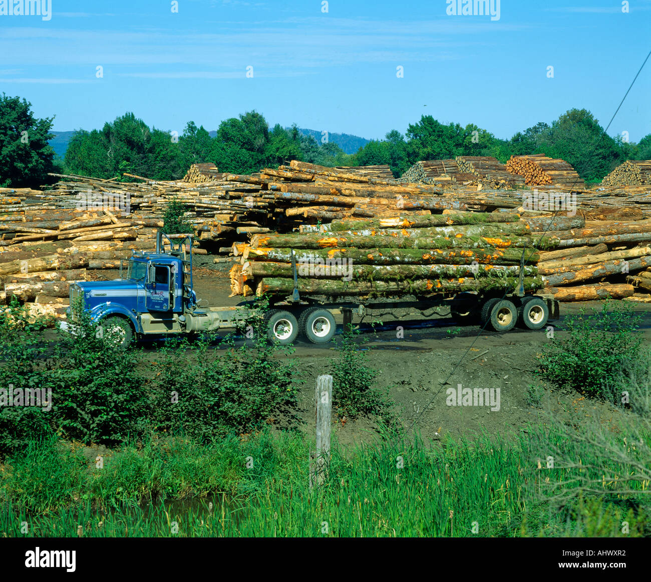 Logging truck hi-res stock photography and images - Alamy
