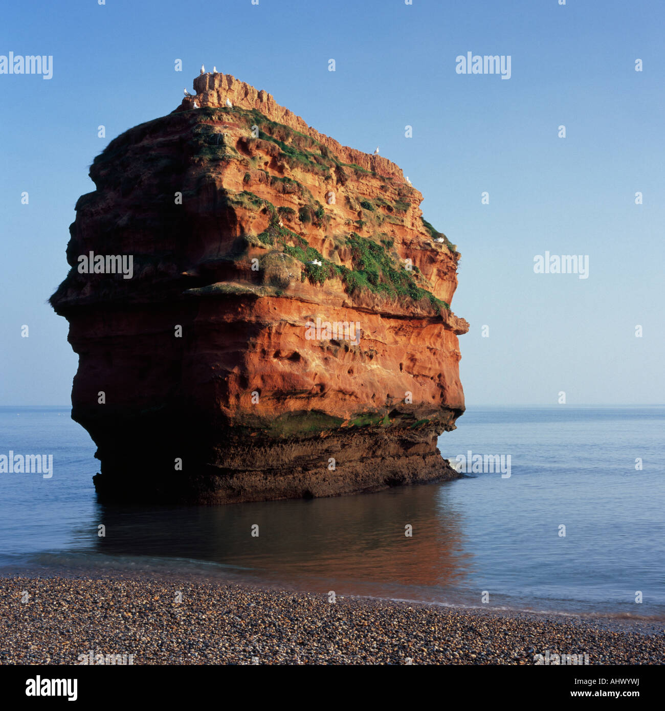 Sandstone sea stack devon hi-res stock photography and images - Alamy