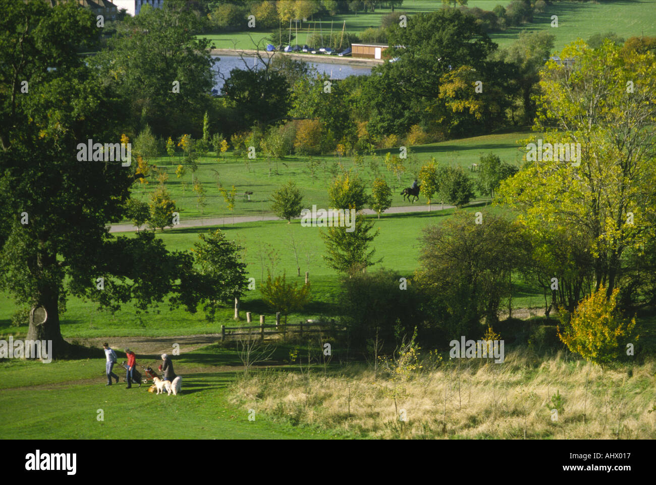 Newbold common hi-res stock photography and images - Alamy