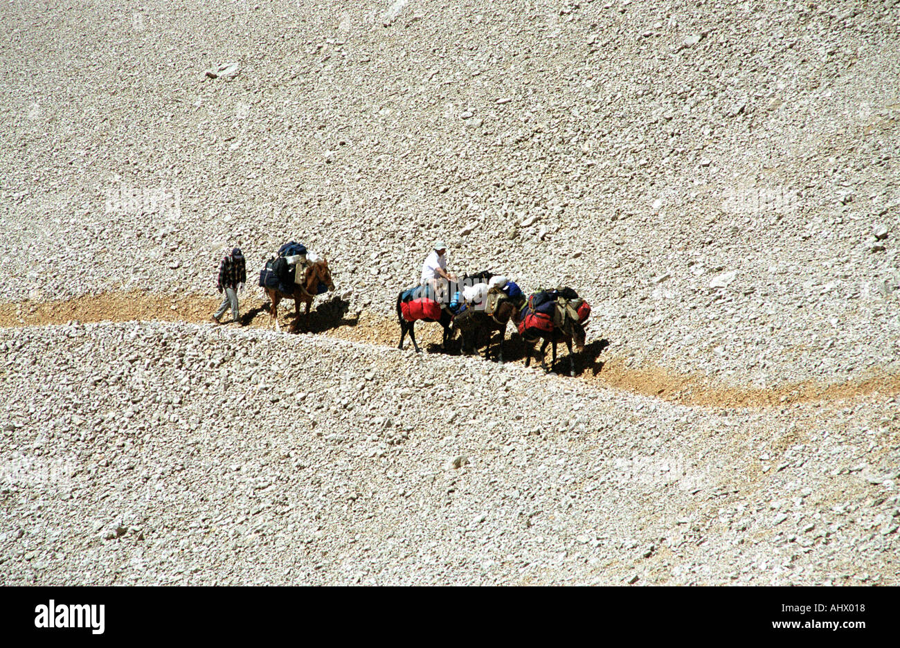 turkey mules on the steep final section of the rocky tekkekalesi pass ...