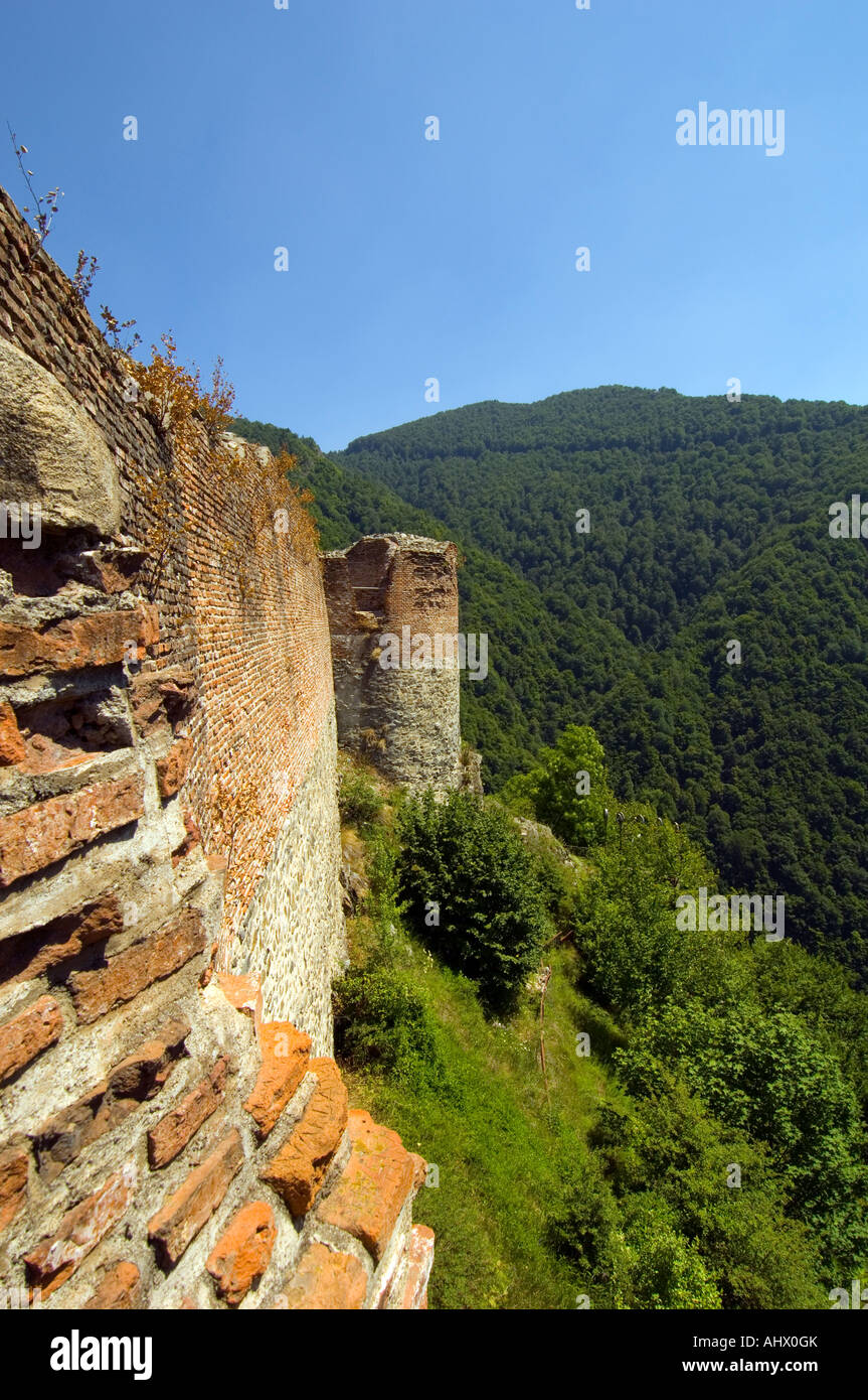 Poienari castle romania hi-res stock photography and images - Alamy
