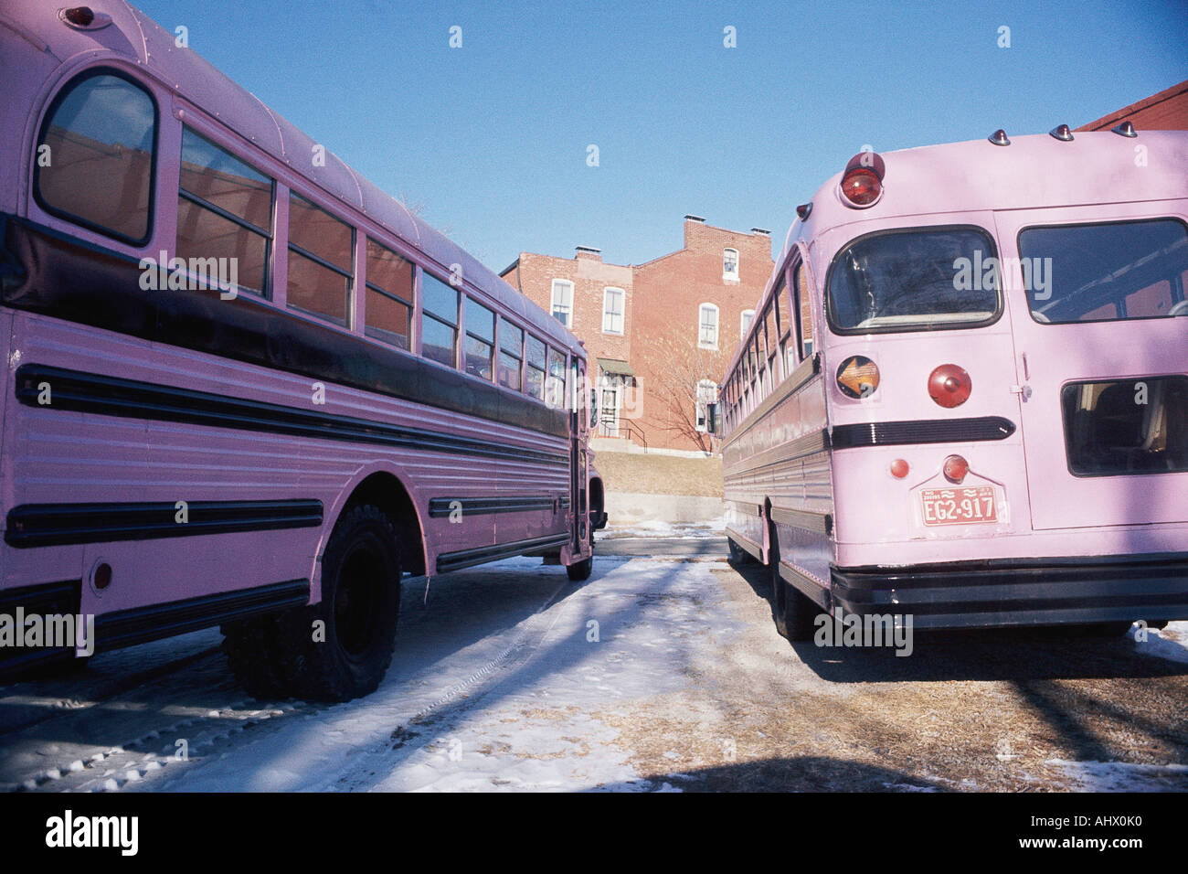 Pink school buses Stock Photo - Alamy