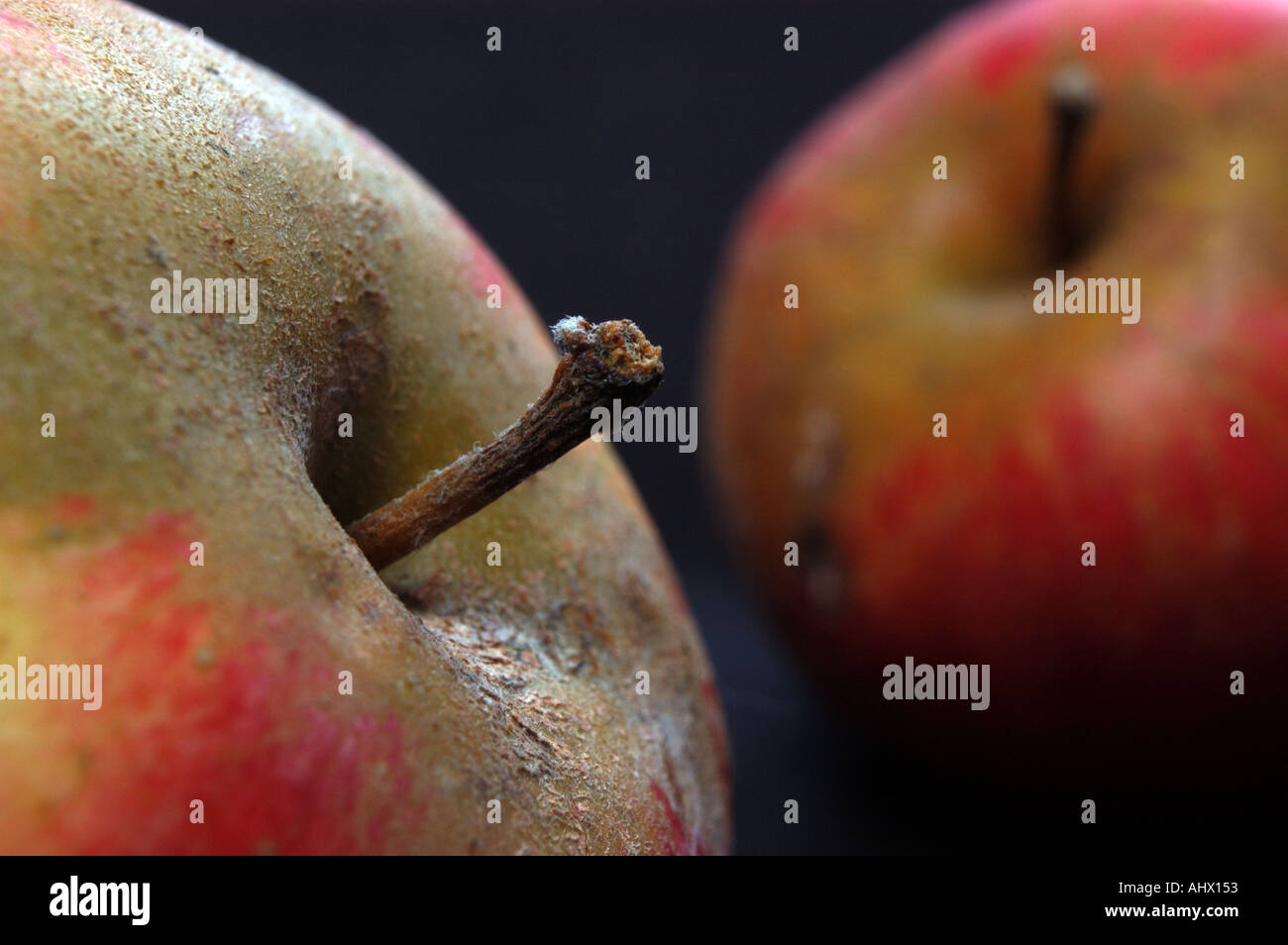 Apple English apples Stock Photo - Alamy
