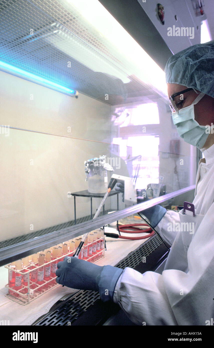 BACTERIOLOGY LABORATORY Stock Photo - Alamy