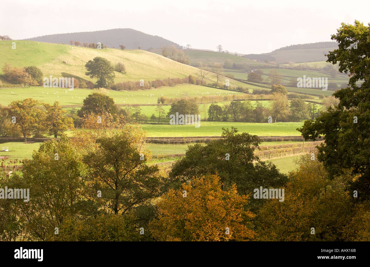THE CLUN VALLEY SOUTH SHROPSHIRE UK Stock Photo - Alamy