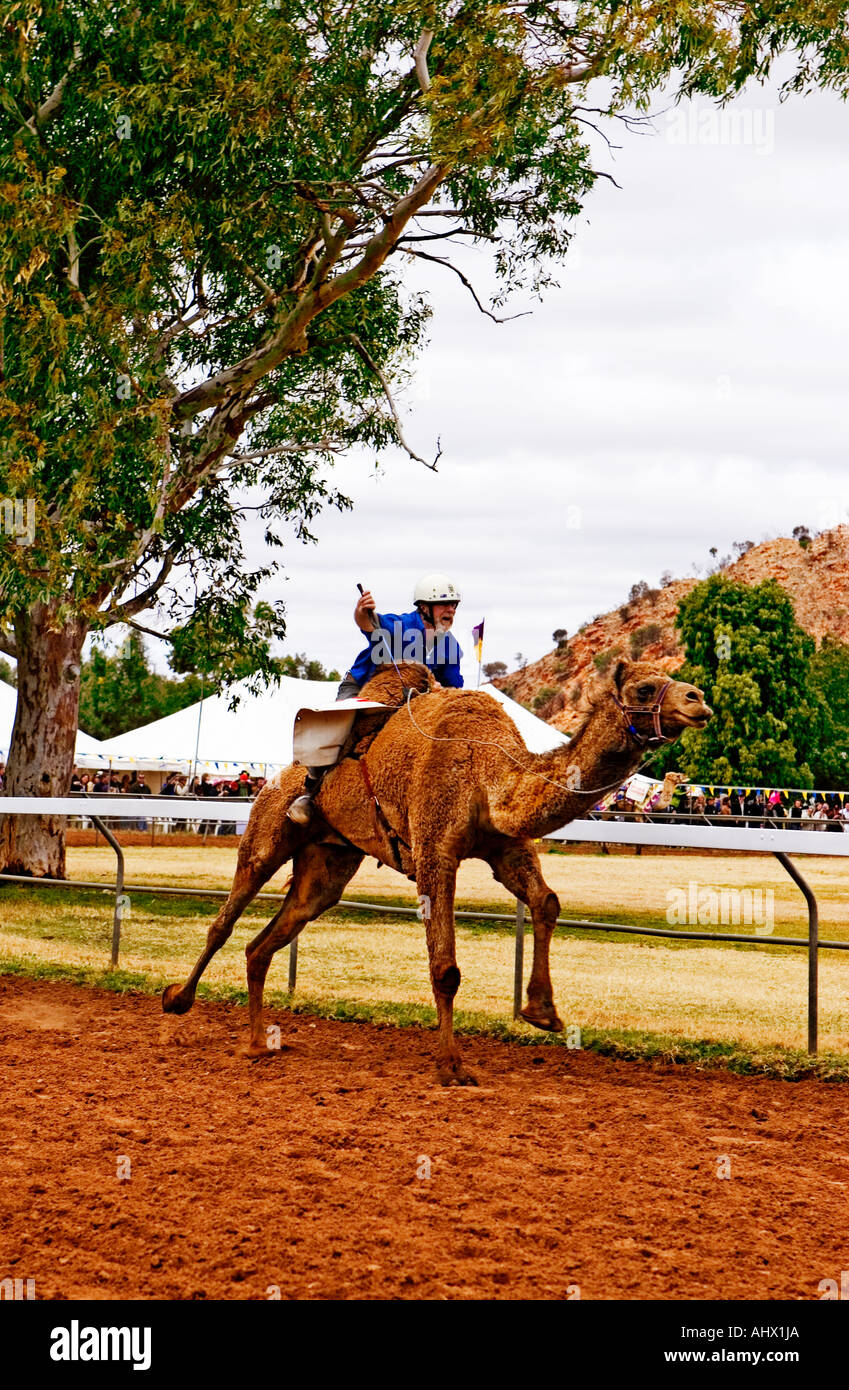 Camel racing australia hi-res stock photography and images - Alamy