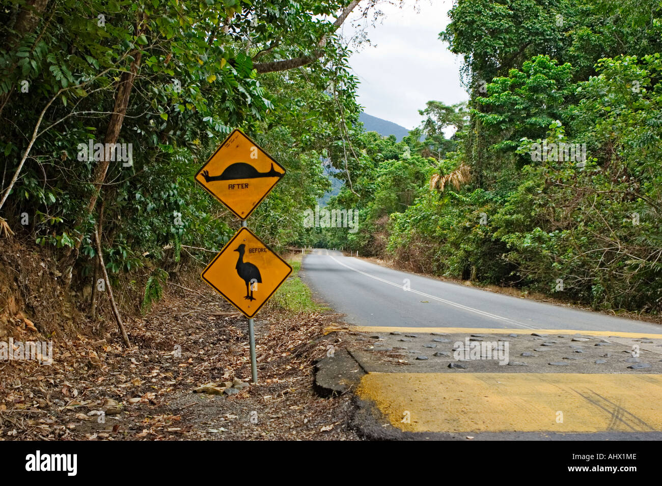 Image of a defaced road sign for the Cassowary Bird in Australia ...