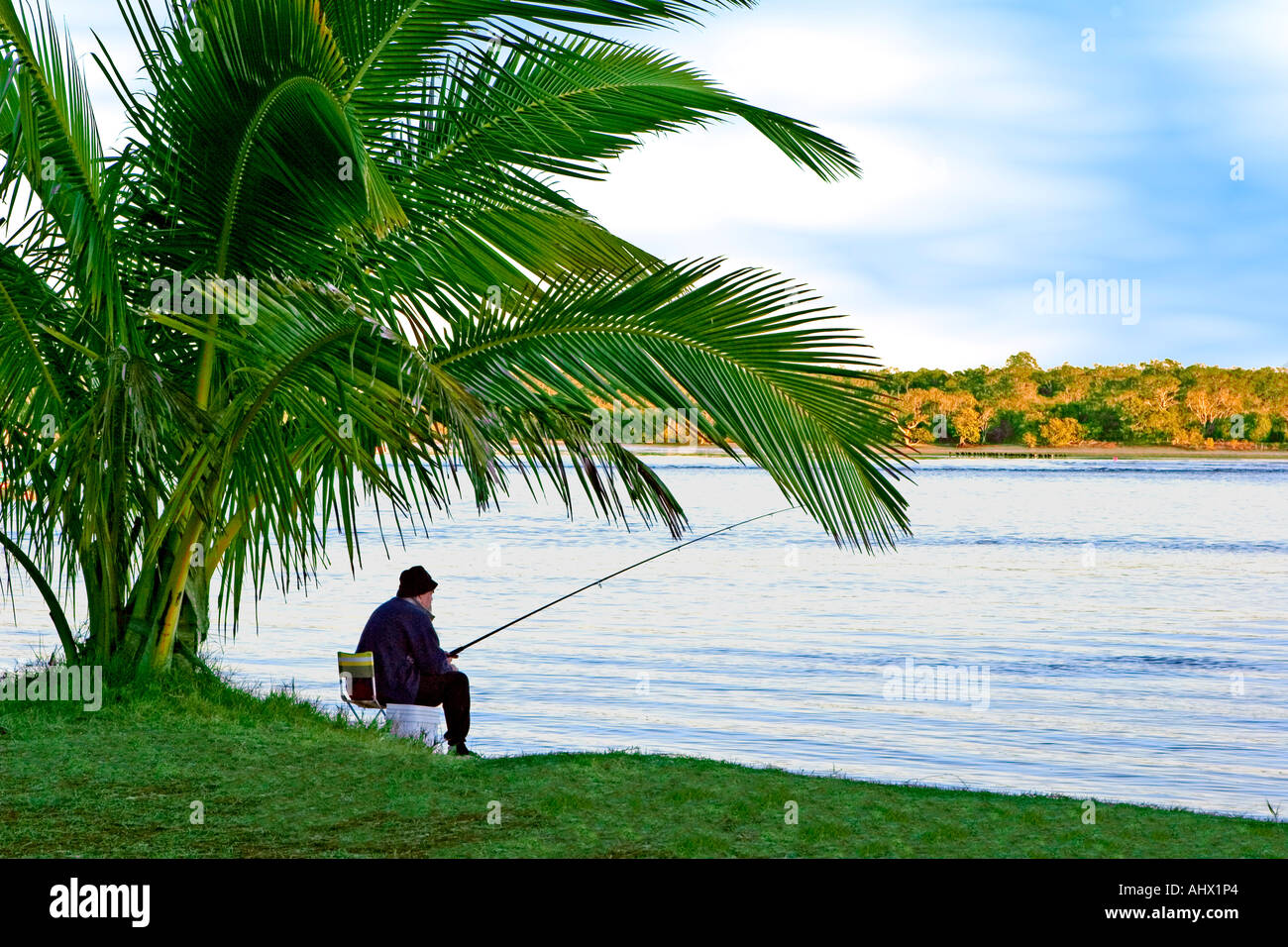 An elderly man sitting in a chair beneath a palm tree on the shore of ...