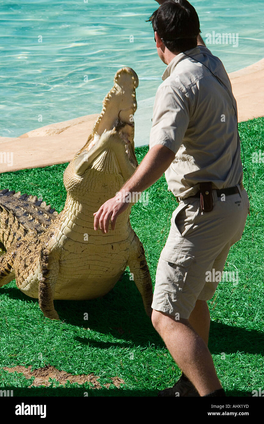 Dead croc hi-res stock photography and images - Alamy