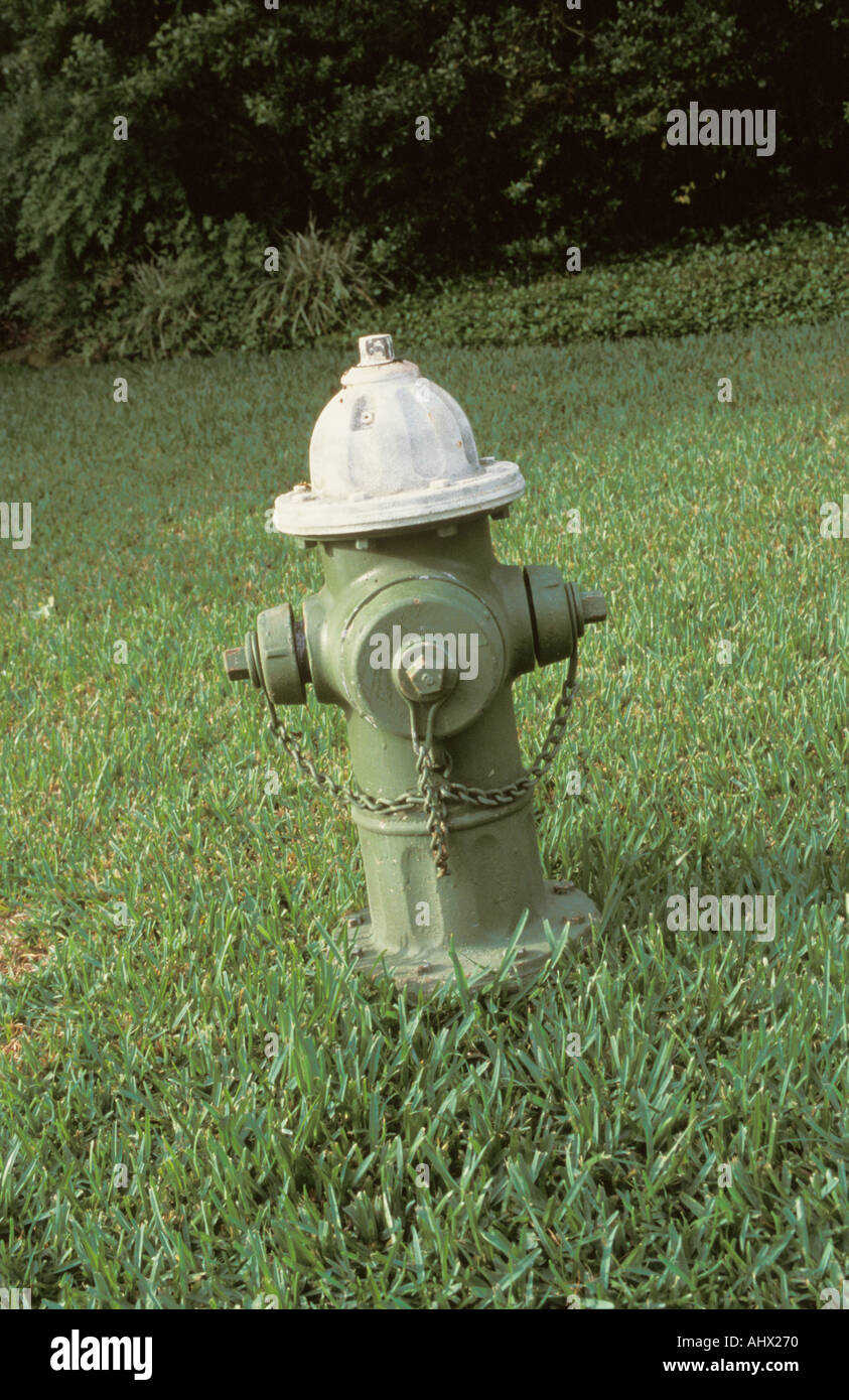 Houston Texas USA Green Fire water Hydrant Stock Photo - Alamy