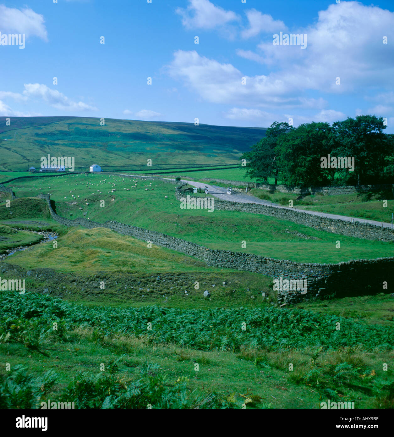 Stanhope durham hi-res stock photography and images - Alamy