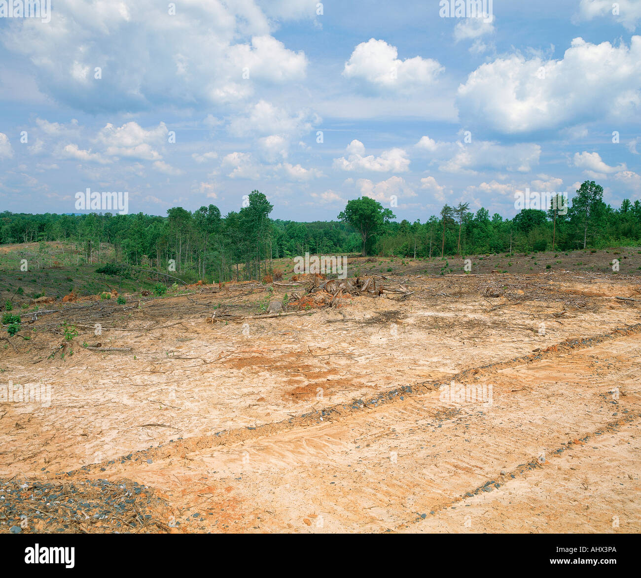Deforesting hi-res stock photography and images - Alamy