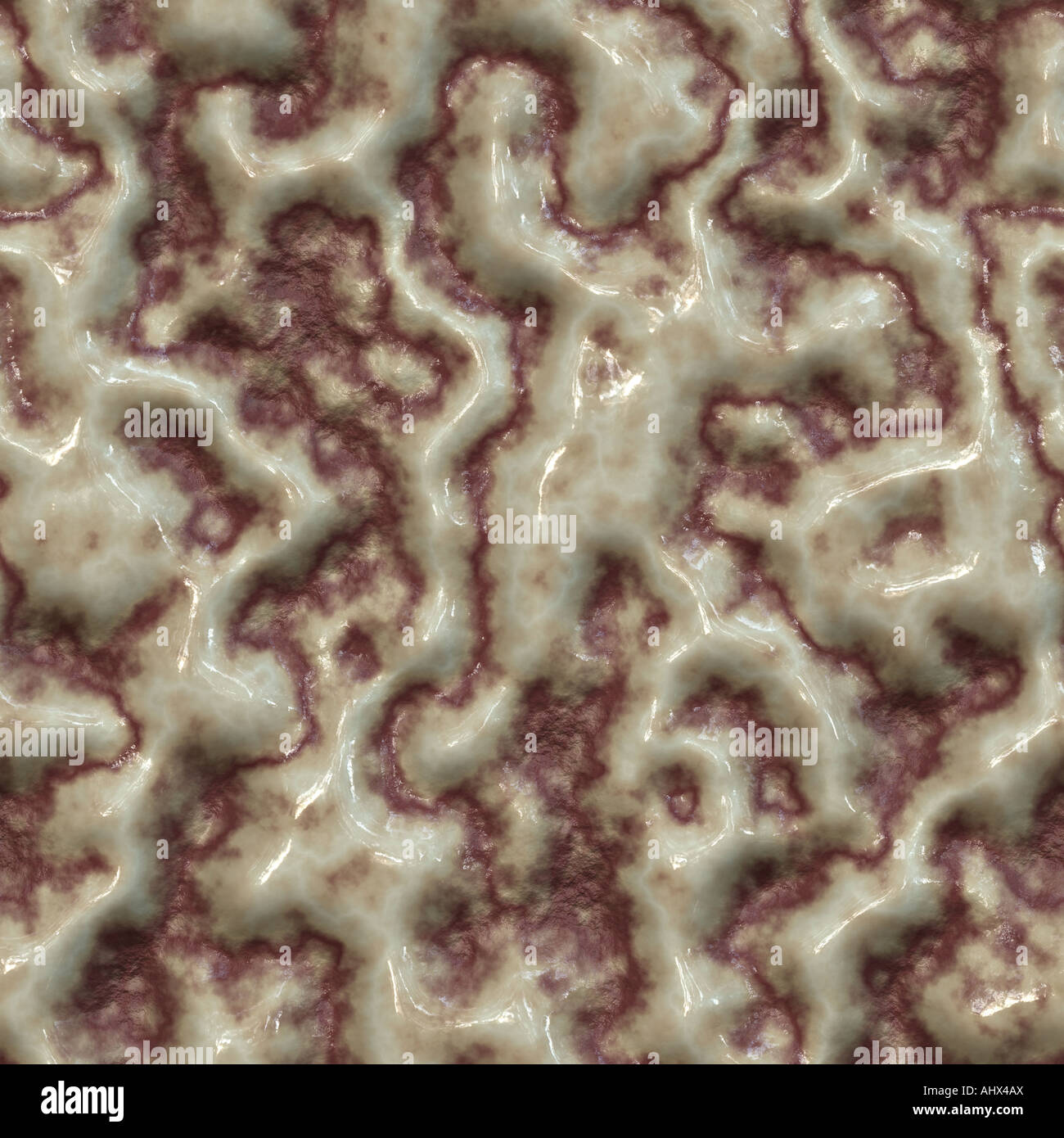 Meat disgusting hi-res stock photography and images - Alamy