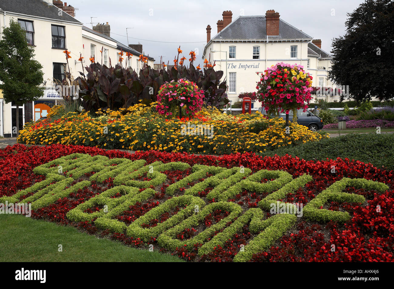 England. Devon. Barnstaple. Flower display Stock Photo - Alamy