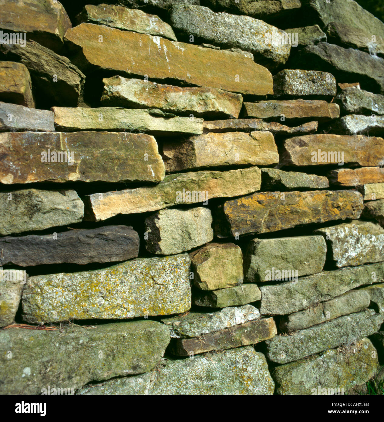 Sandstone drystone wall which has been recently built or repaired, the ...