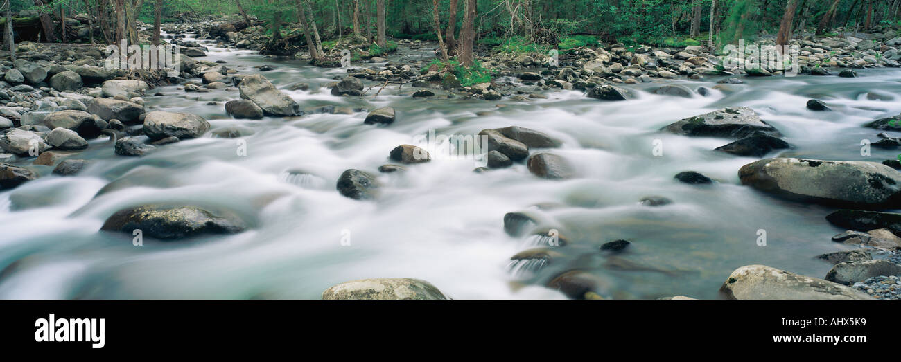 Water river stream on natural hi-res stock photography and images - Alamy