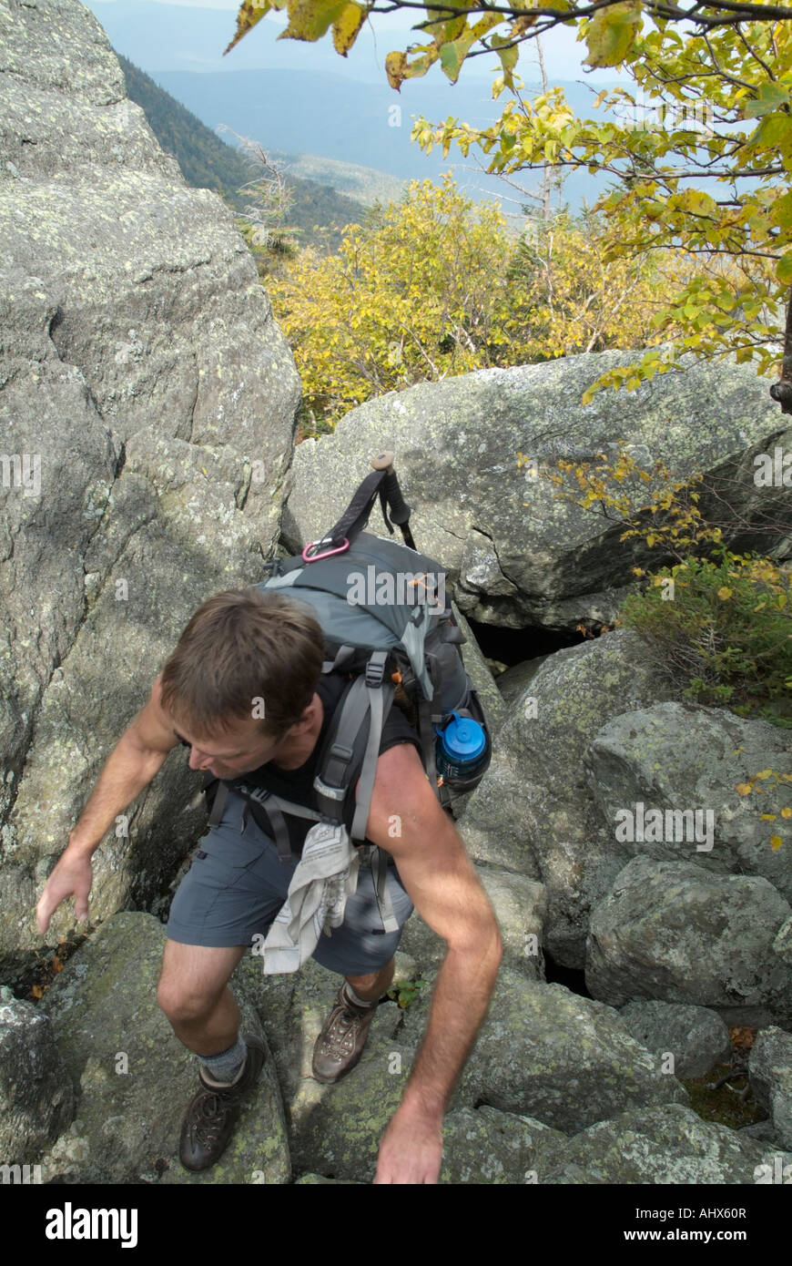 Hiking on the King Ravine Trail during the early autumn months Located ...