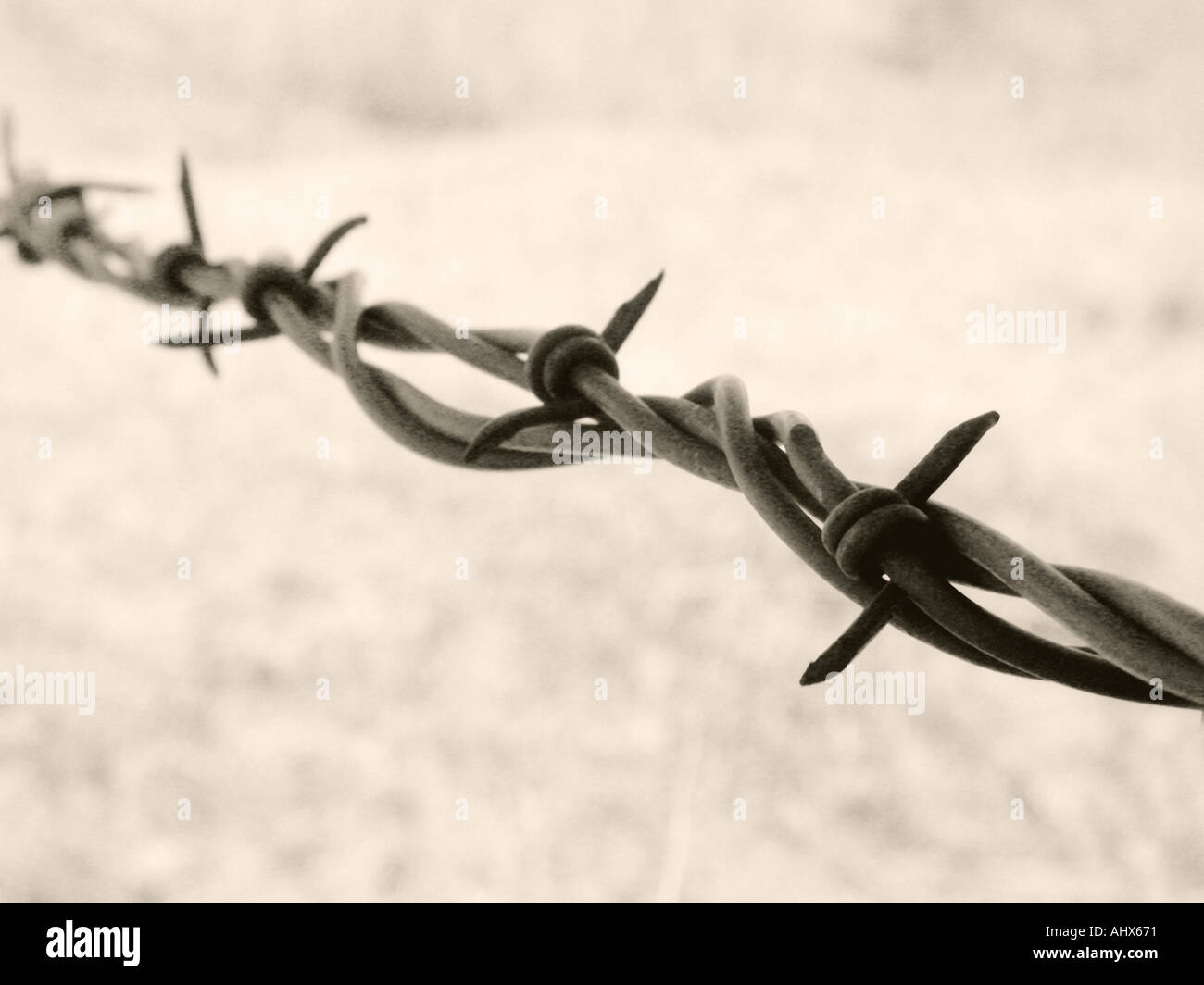 Close Up Twisted Barbed Wire Stock Photo - Alamy