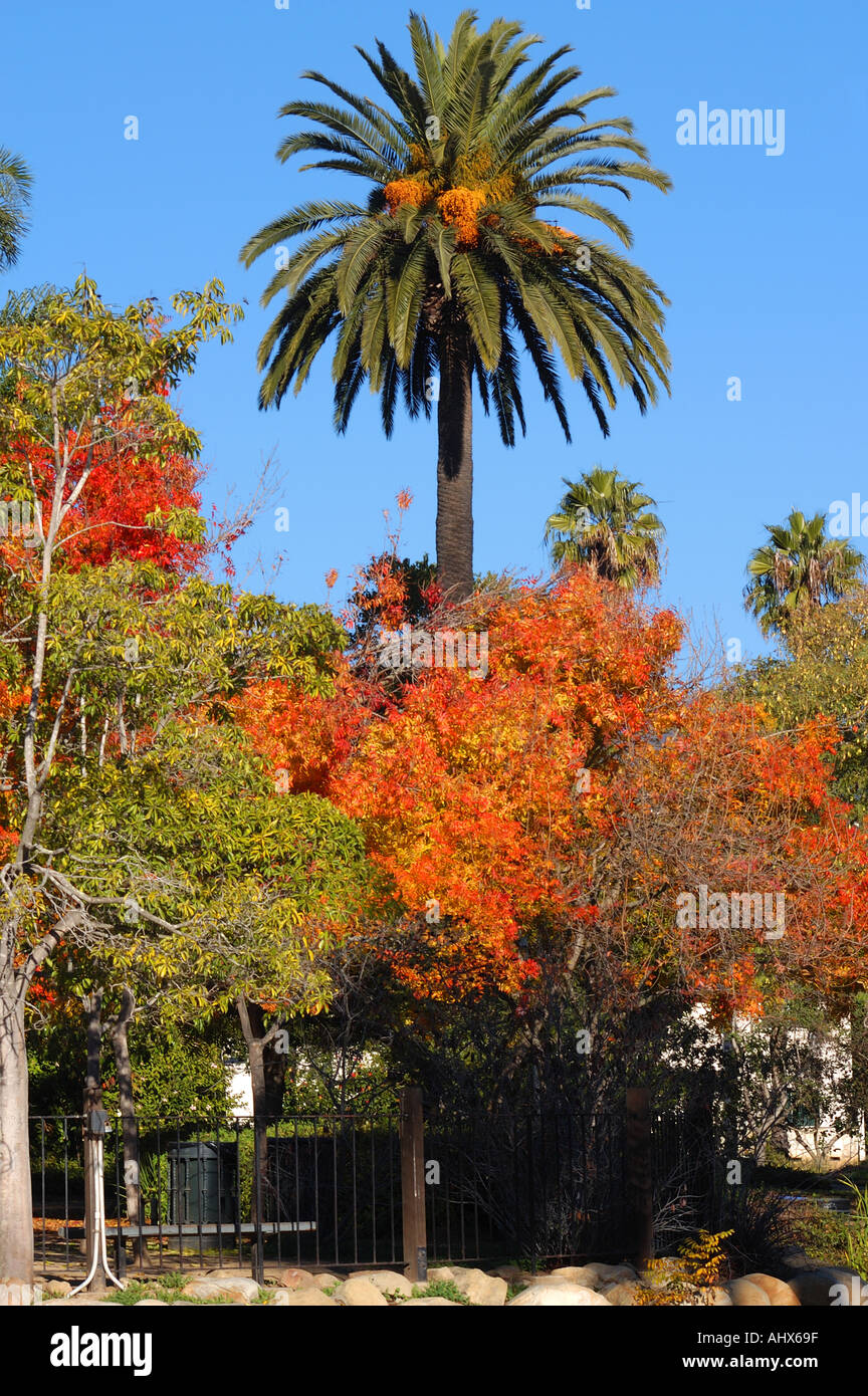 Alice Keck Park Stock Photo - Alamy