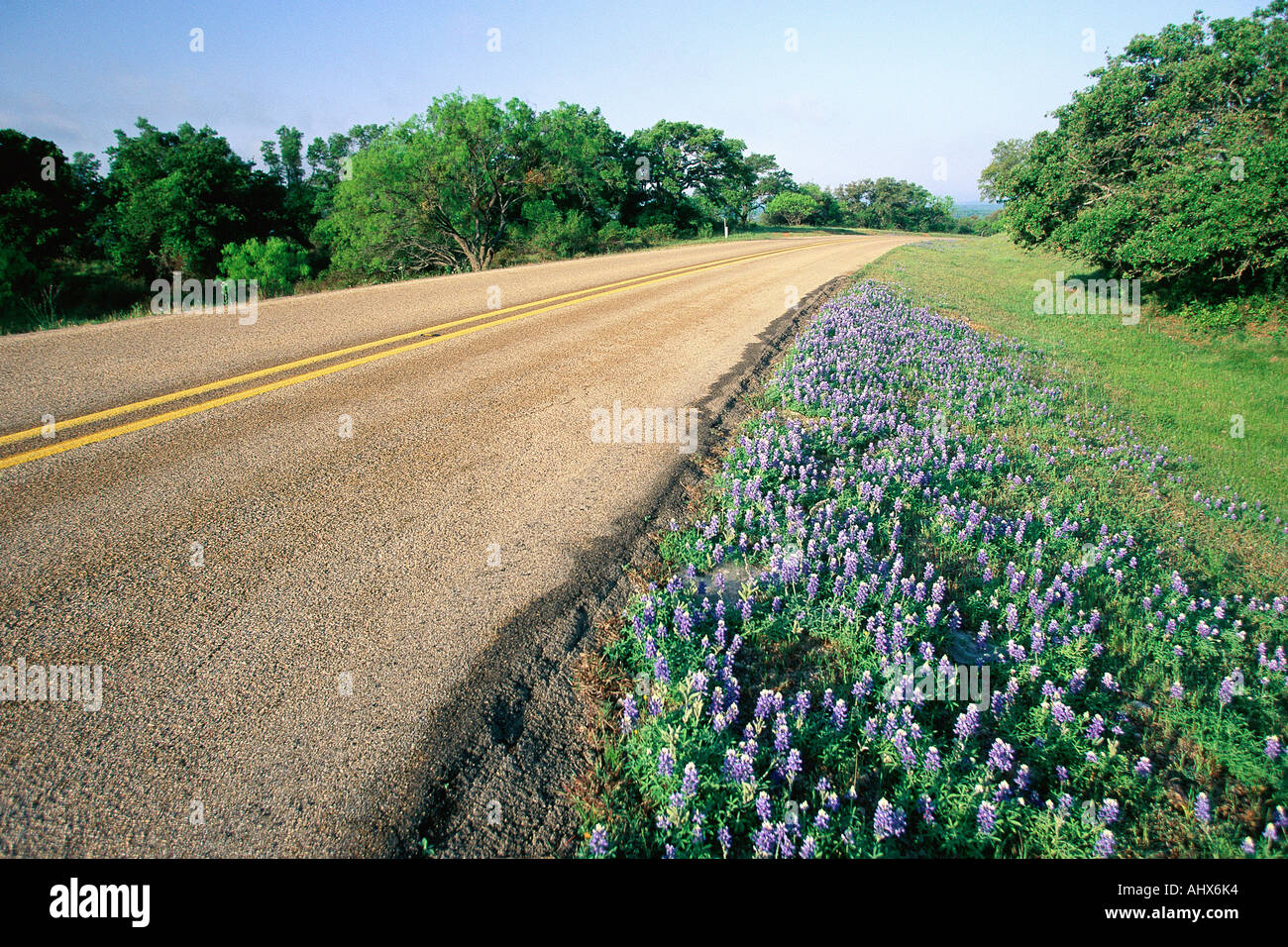Wildflowers on side of rural highway Stock Photo - Alamy